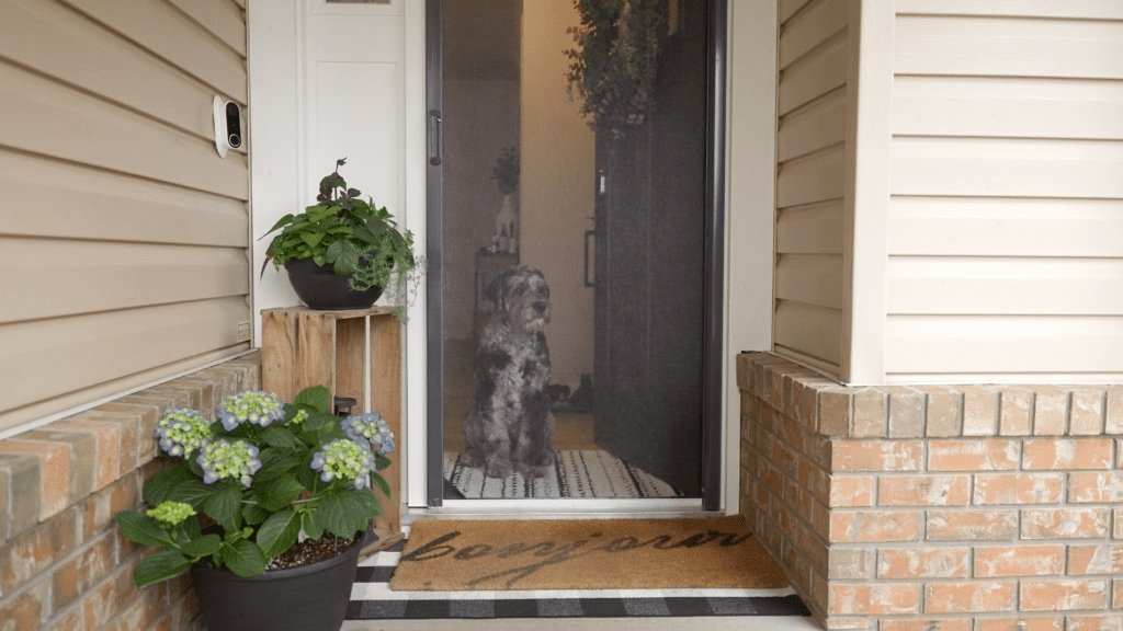 Door Screens with Mesh Lock | Phantom Screens
